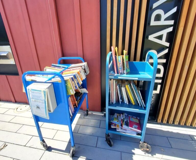 Donate Books - Friends of the Santa Cruz Public Libraries